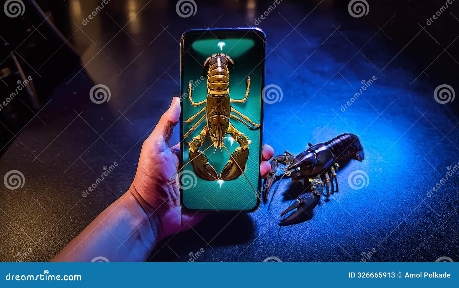 Mobile Capturing Image and Showing Information of Lobster on the ...