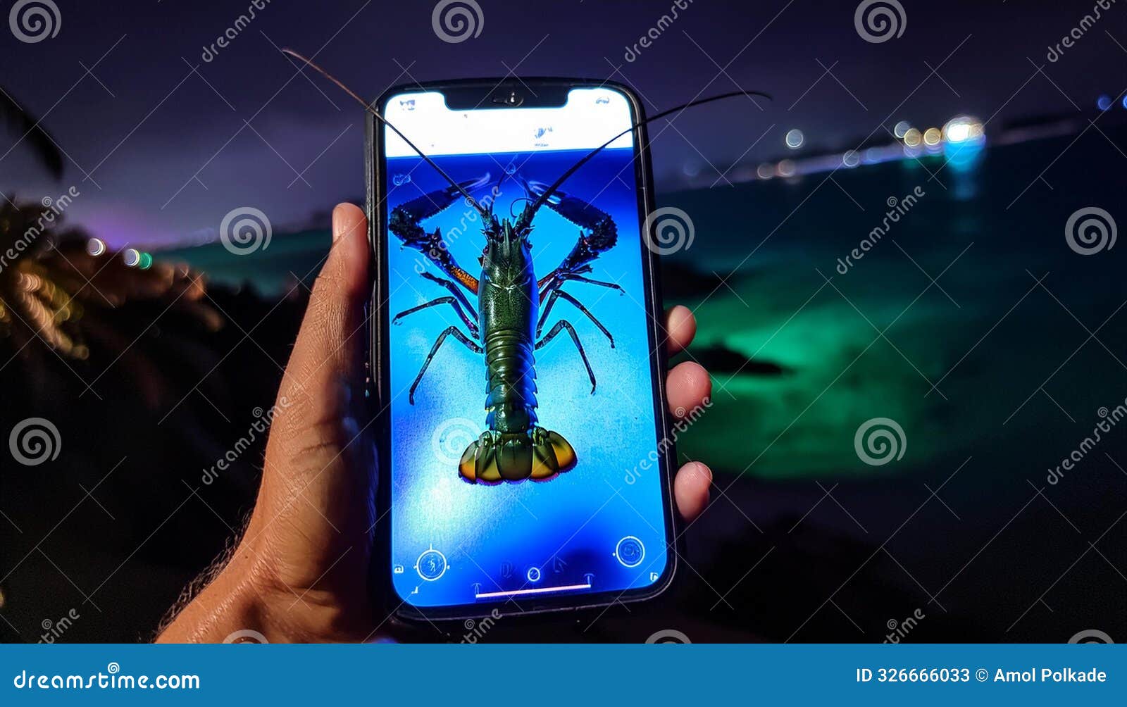 Mobile Capturing Image and Showing Information of Lobster on the ...
