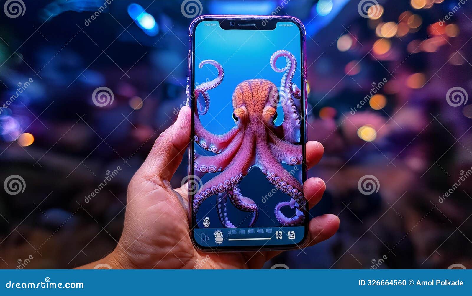 Mobile Capturing Image and Showing Information of Octopus on the ...