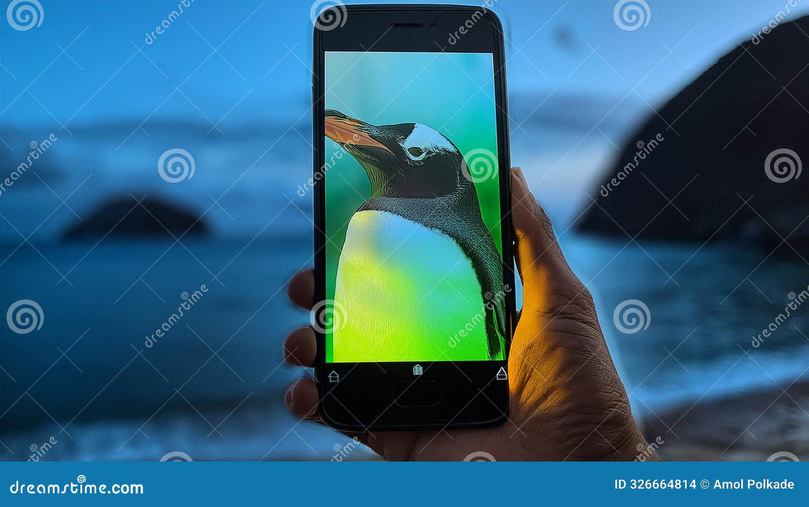 Mobile Capturing Image and Showing Information of Penguin on the ...