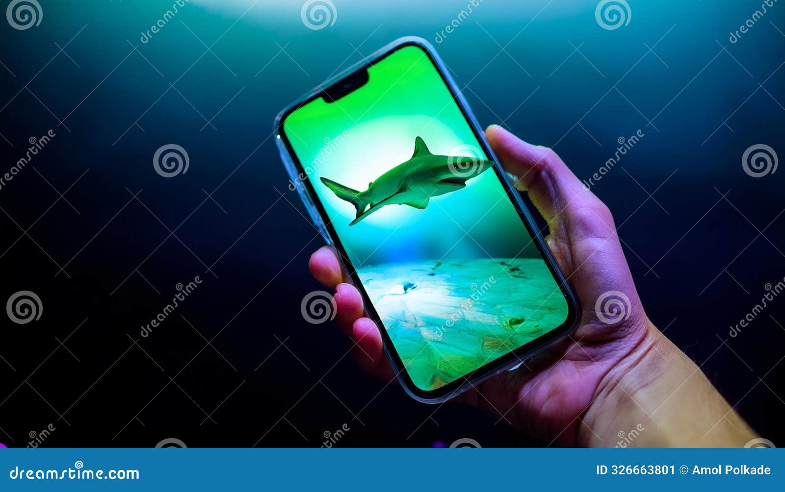 Mobile Capturing Image and Showing Information of Shark on the Display ...