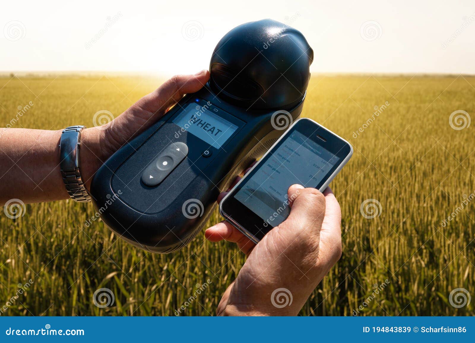 Mobile Device for Measuring the Parameters of Grain Stock Image - Image ...