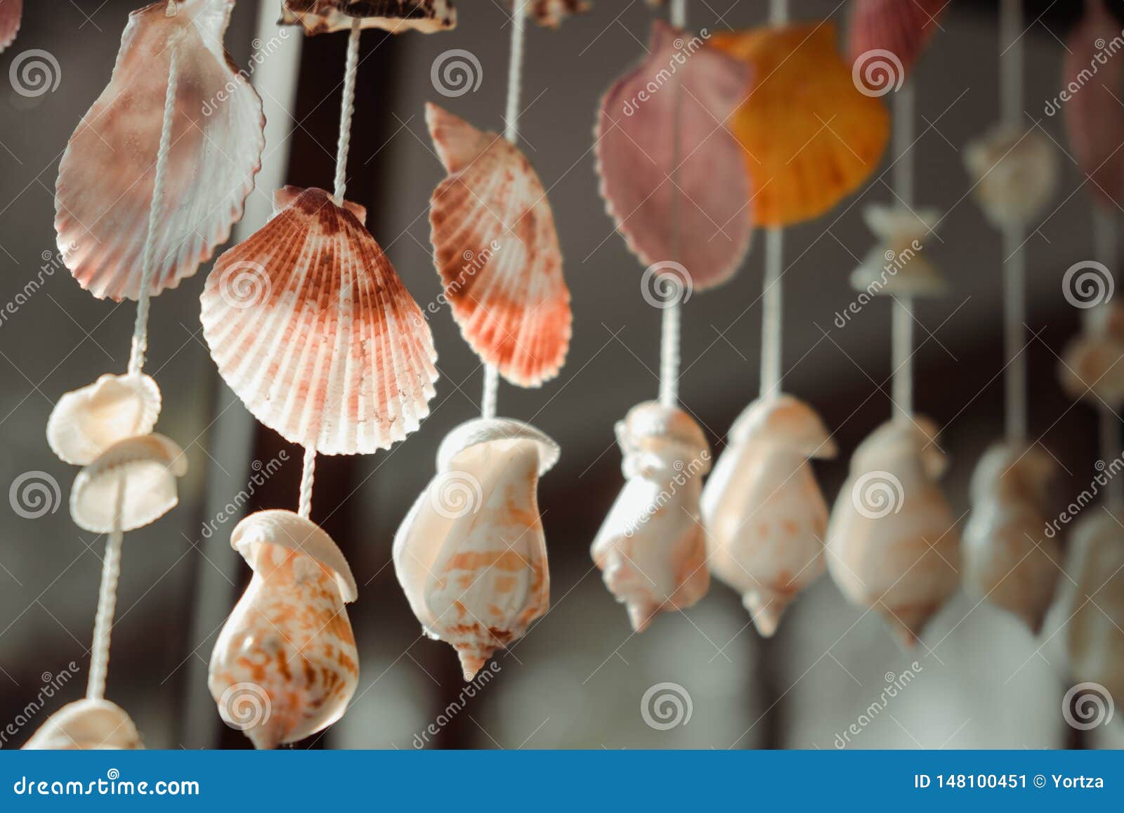 Mobile Made from Shells Hanging Stock Image - Image of background ...