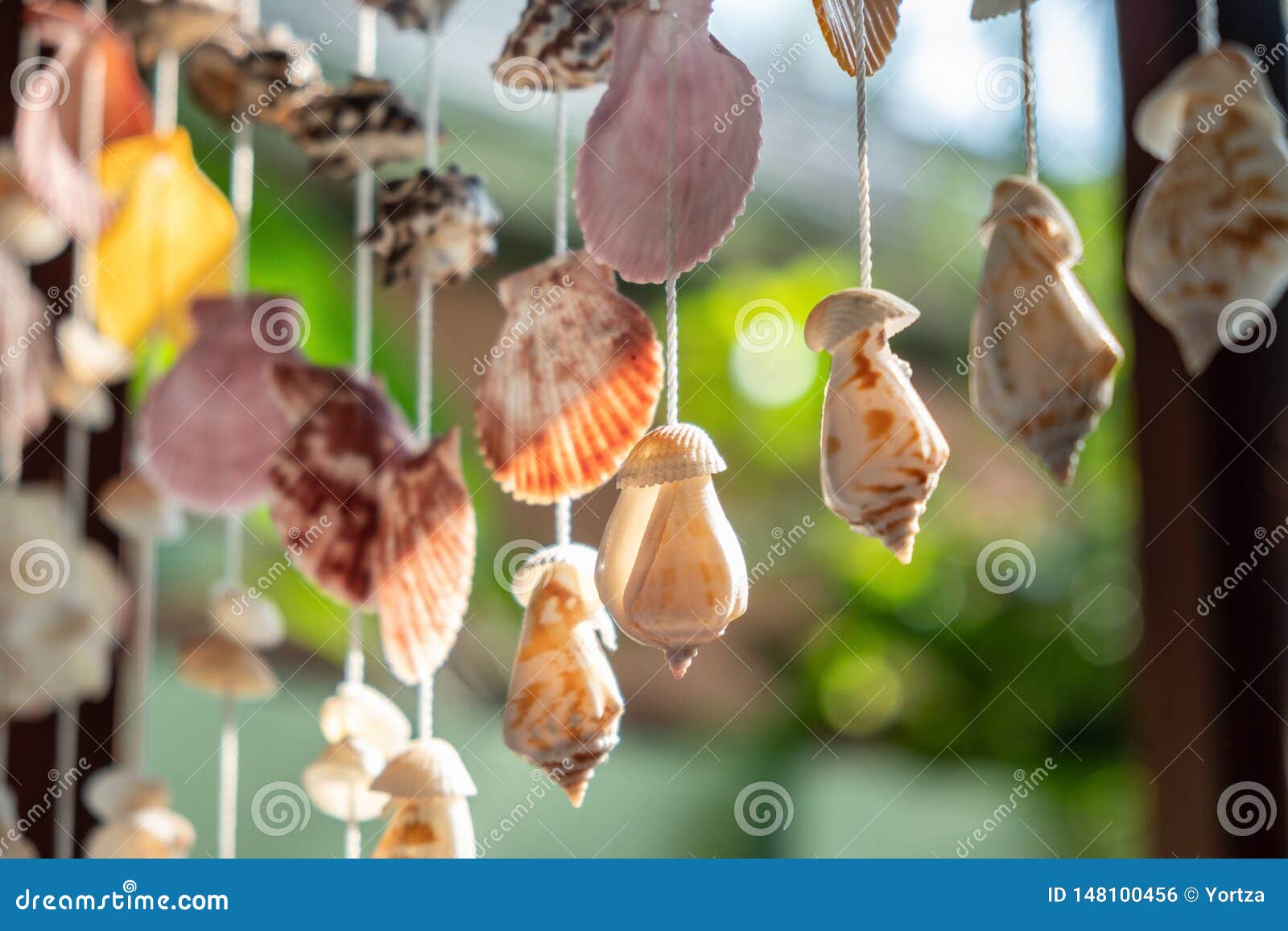 Mobile Made from Shells Hanging Stock Photo - Image of beauty, decorate ...