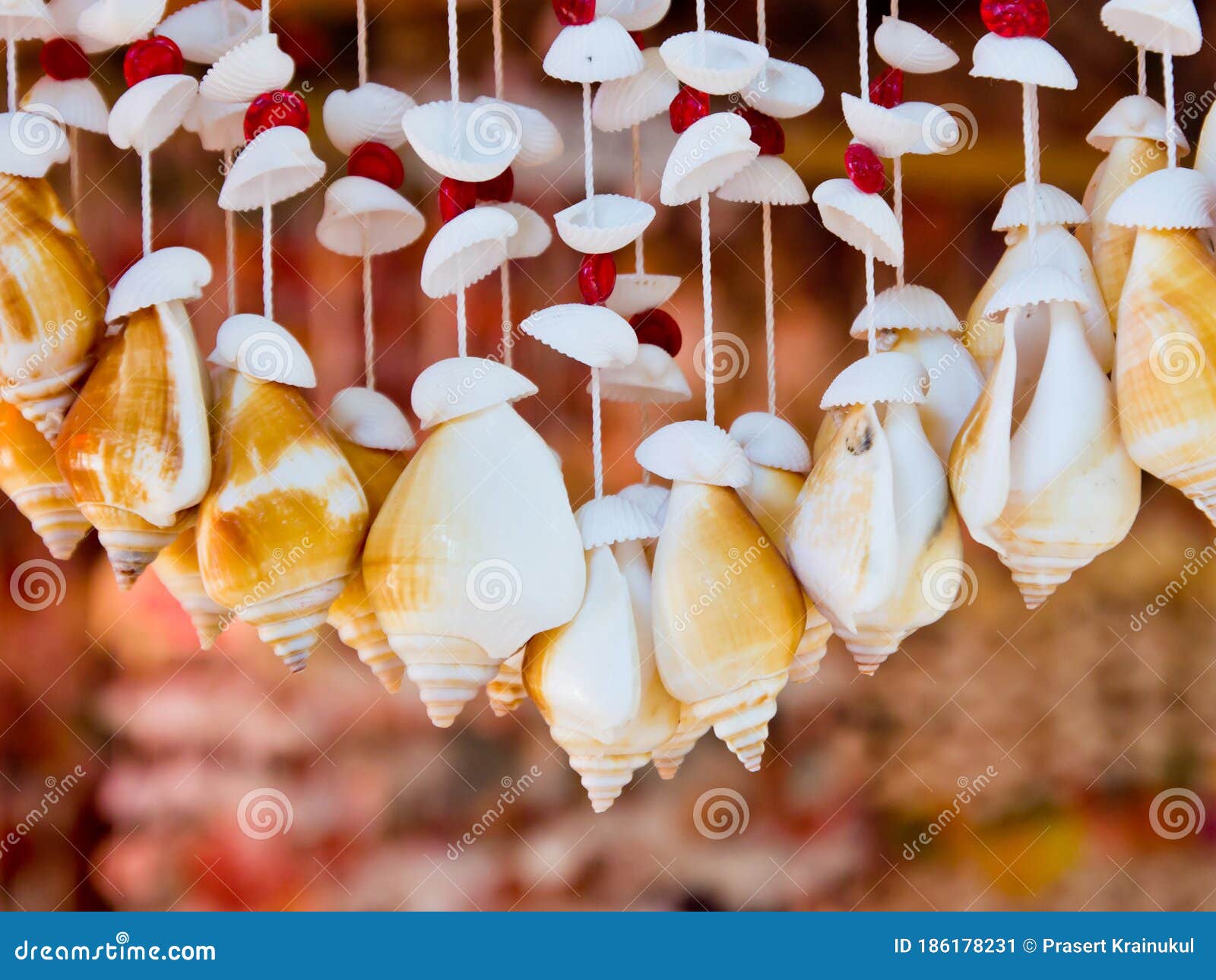 Mobile Made from Variety Shells Stock Image - Image of shell, sculptur ...