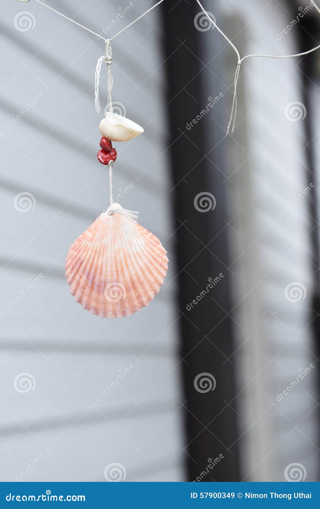 Mobile Made from Various Shells Stock Image - Image of natural ...