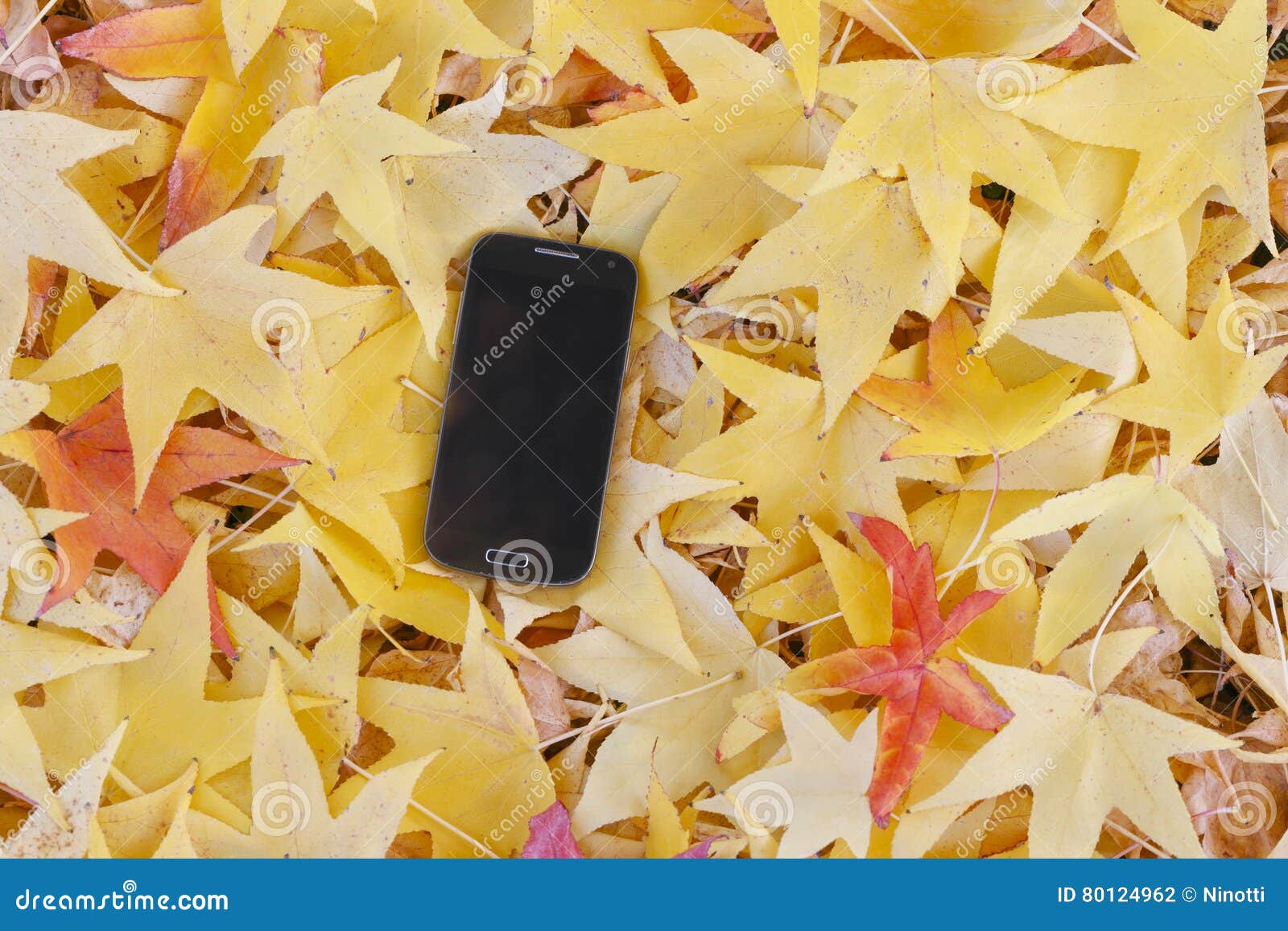 Mobile phone on leaves stock photo. Image of nature, beautiful - 80124962