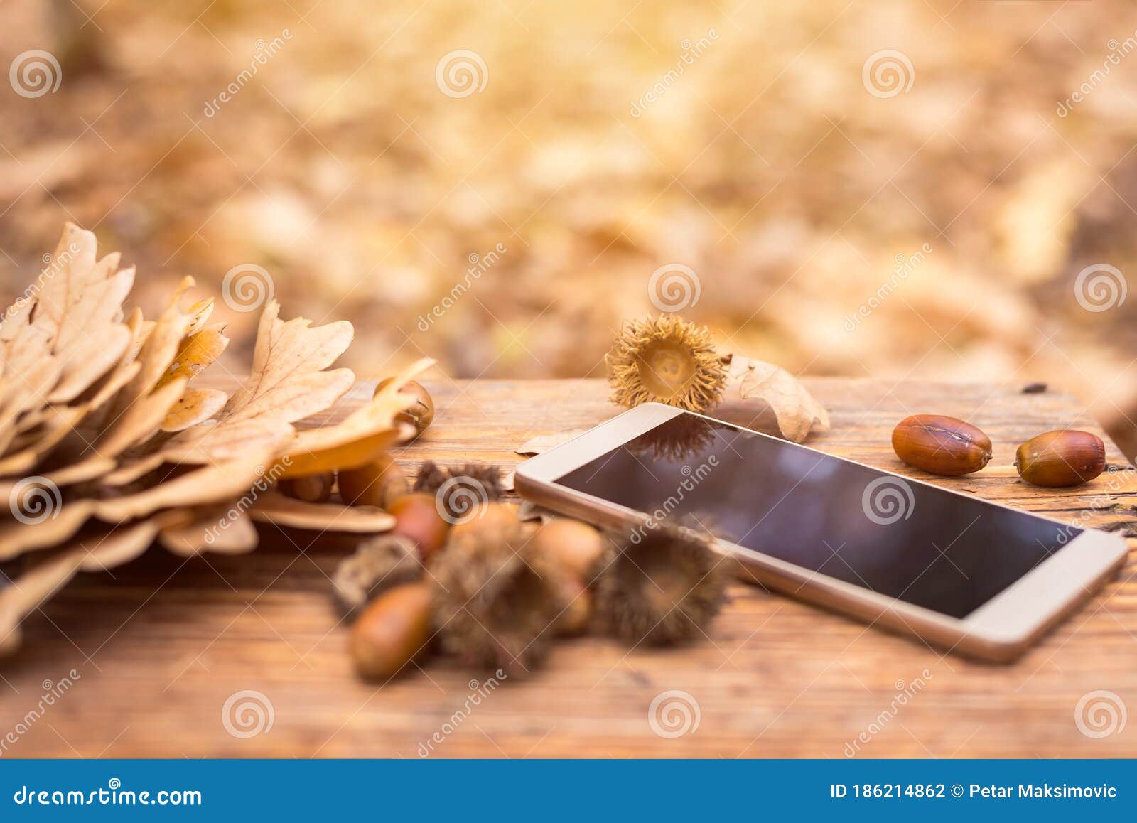 Mobile Phone in Nature Setting Stock Photo - Image of internet, cell ...