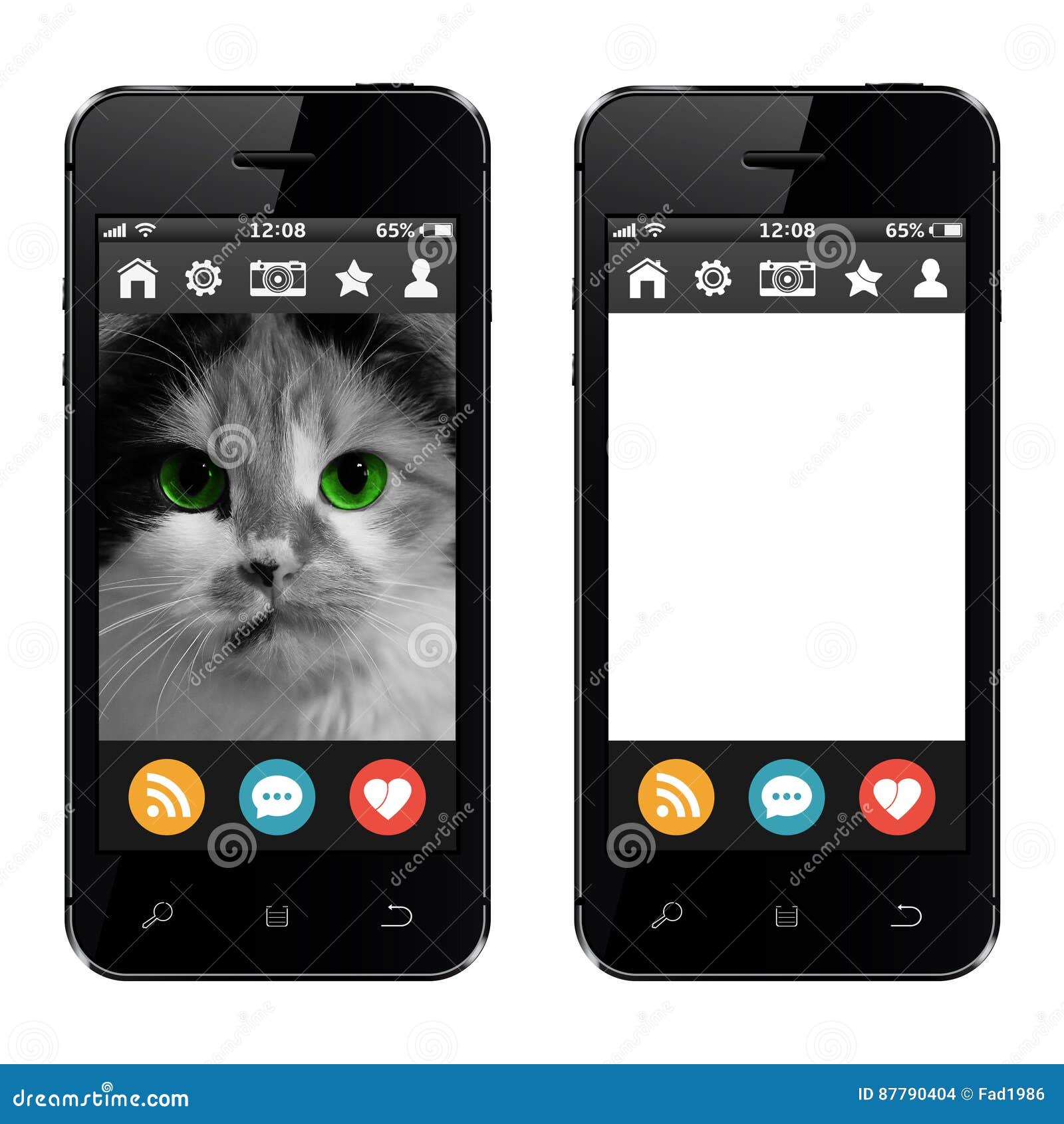 Mobile Phones with Cat Photo and Blank Empty White Screen Stock ...