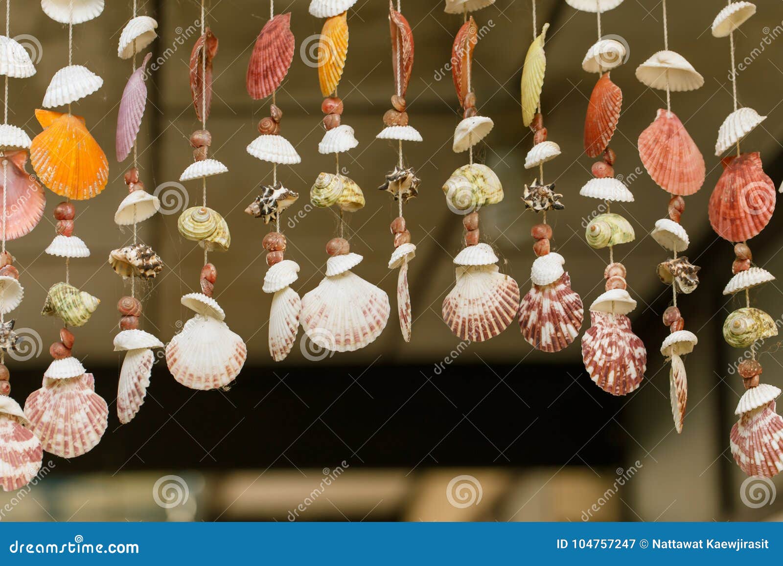 Mobile Shell Closeup Detail Stock Image - Image of decorative, decorate ...
