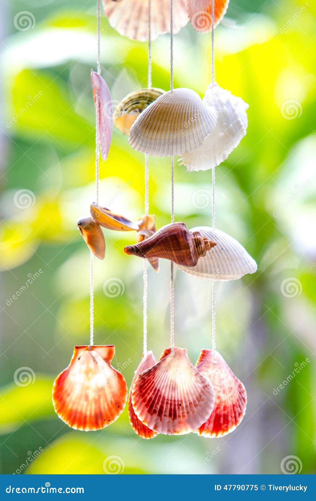 Mobile Shell stock image. Image of nature, finishing - 47790775