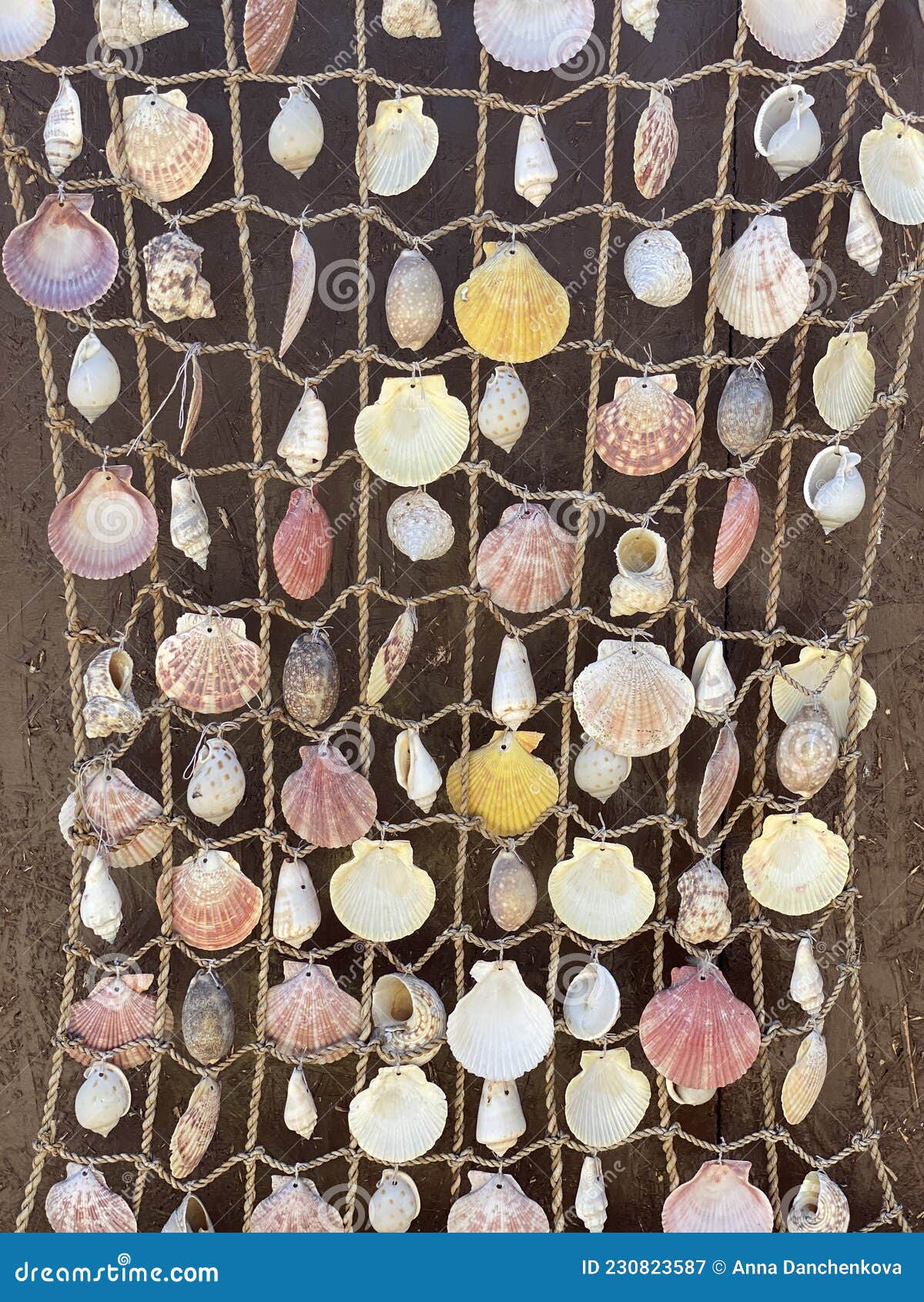 Mobile Shell Sky Background Stock Image - Image of decorate, beach ...