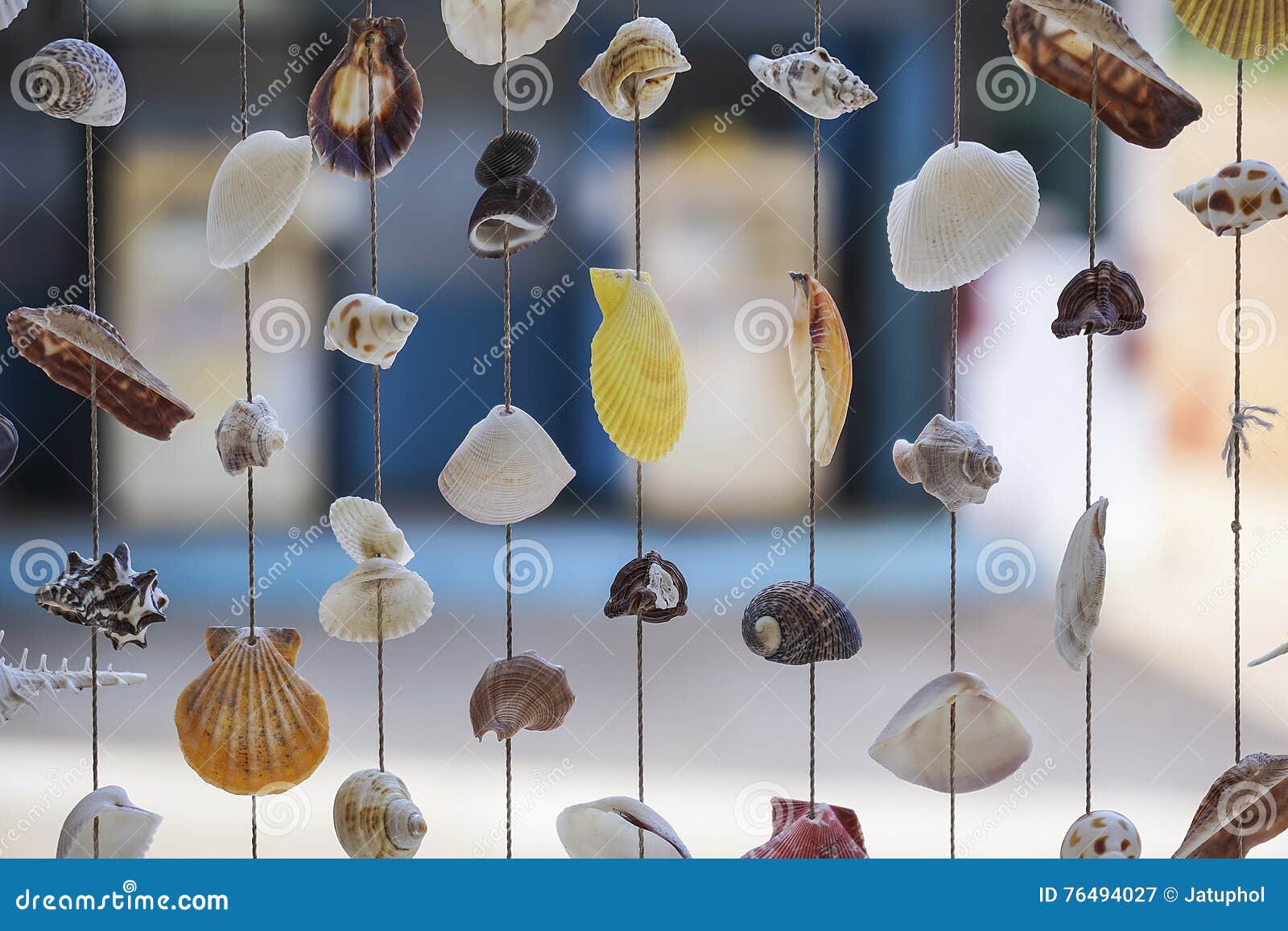Mobile shell stock image. Image of natural, spiral, closeup - 76494027
