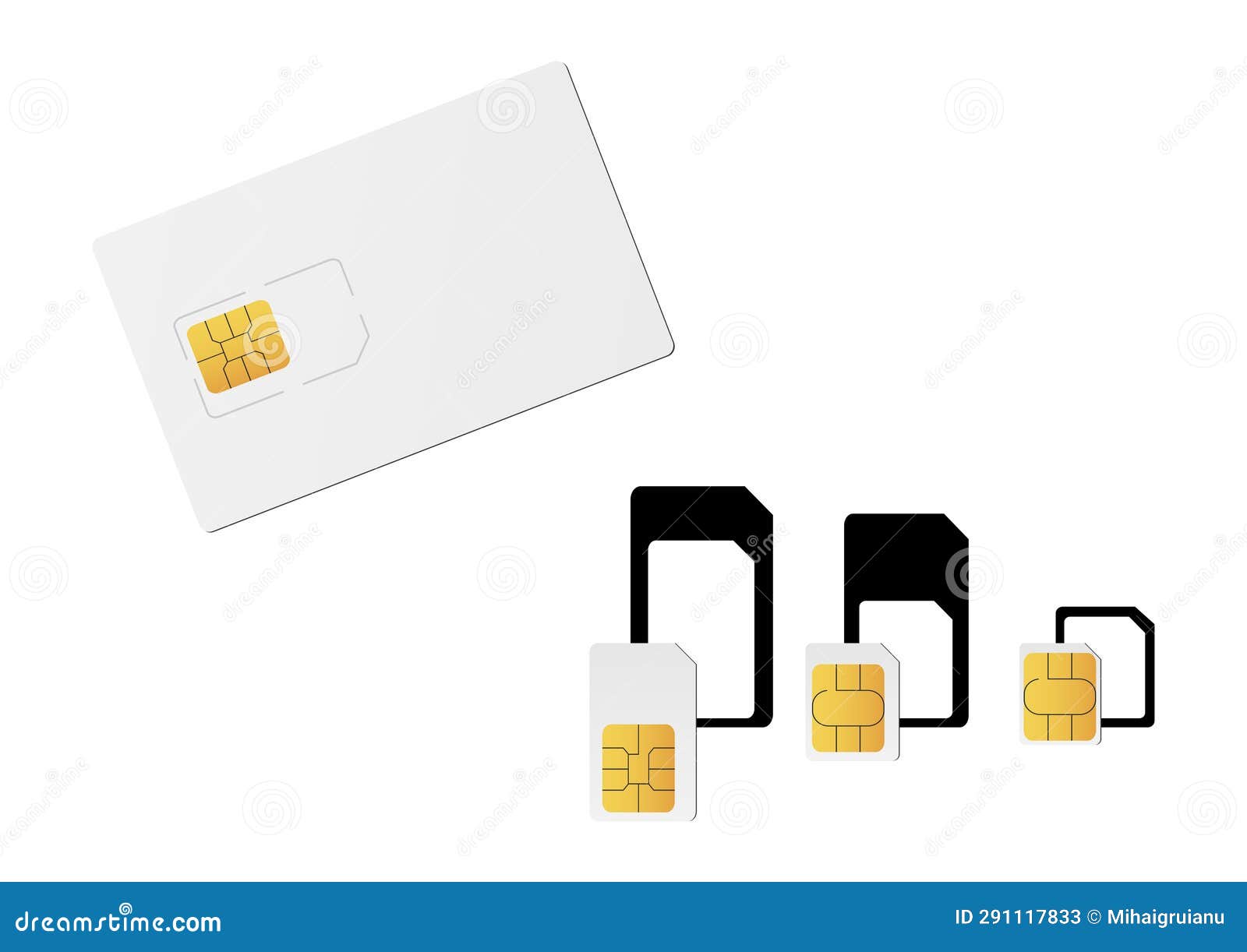 SIM Card Types Infographics In Flat Style Cartoon Vector ...