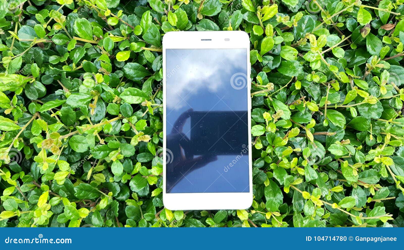 Mobile Smart Phone in Green Grass Stock Photo - Image of apps, cafe ...