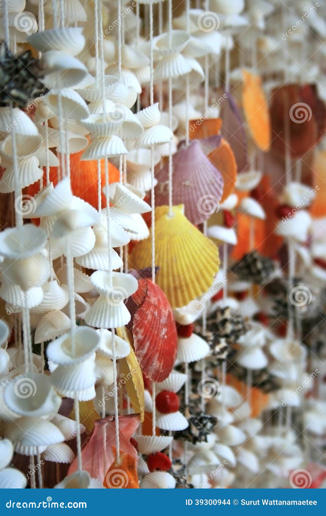 Mobile from variety shells stock photo. Image of decorate - 39300944
