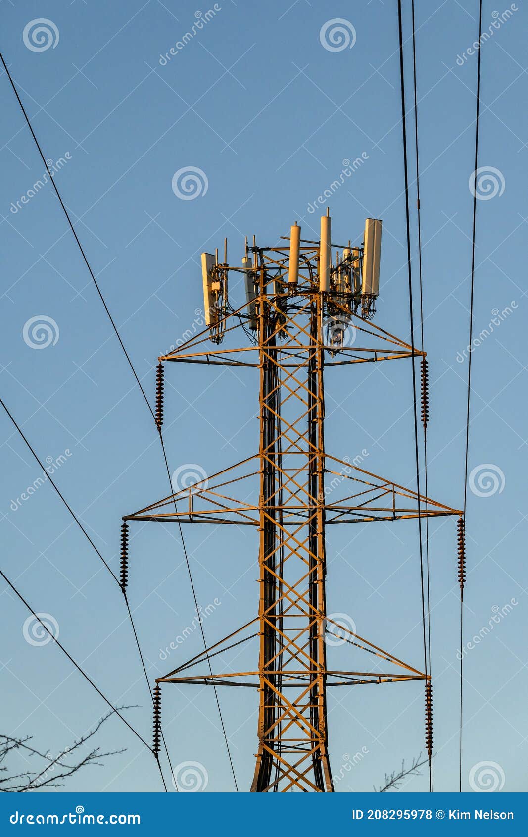 Mobility Telecom Panel Antennas on the Top of a Power Line Lattice ...