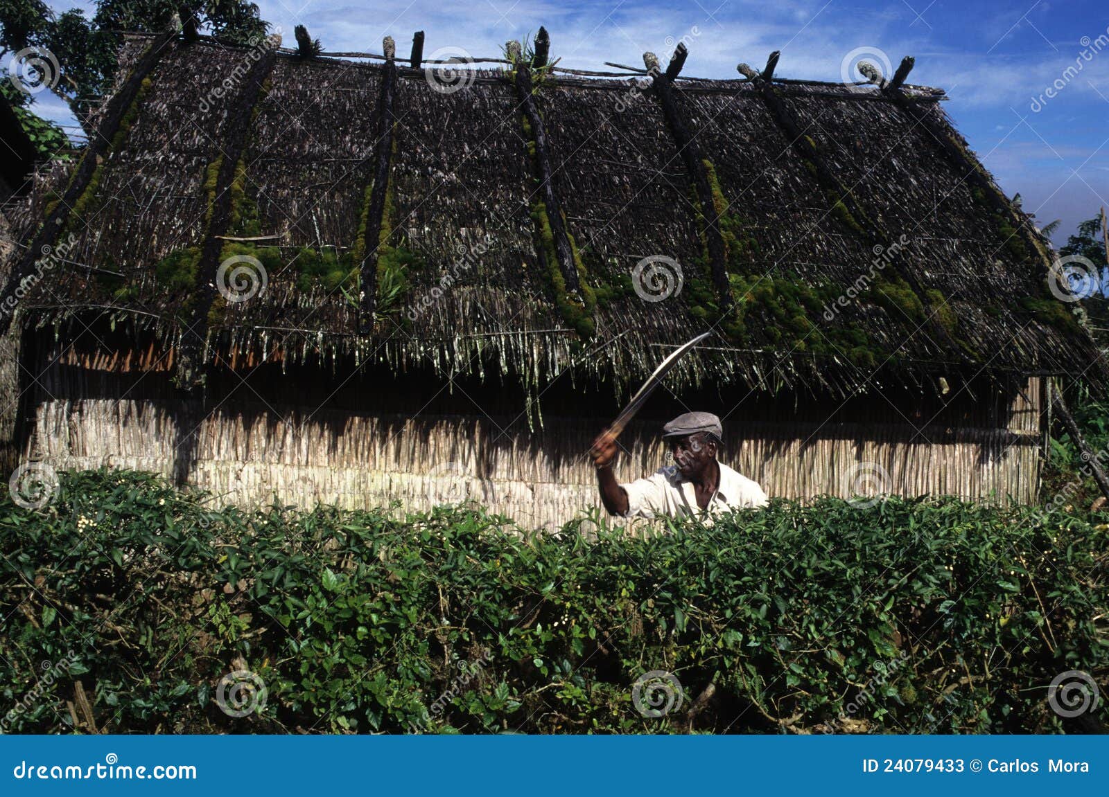 Moca - Equatorial Guinea editorial stock photo. Image of group - 24079433