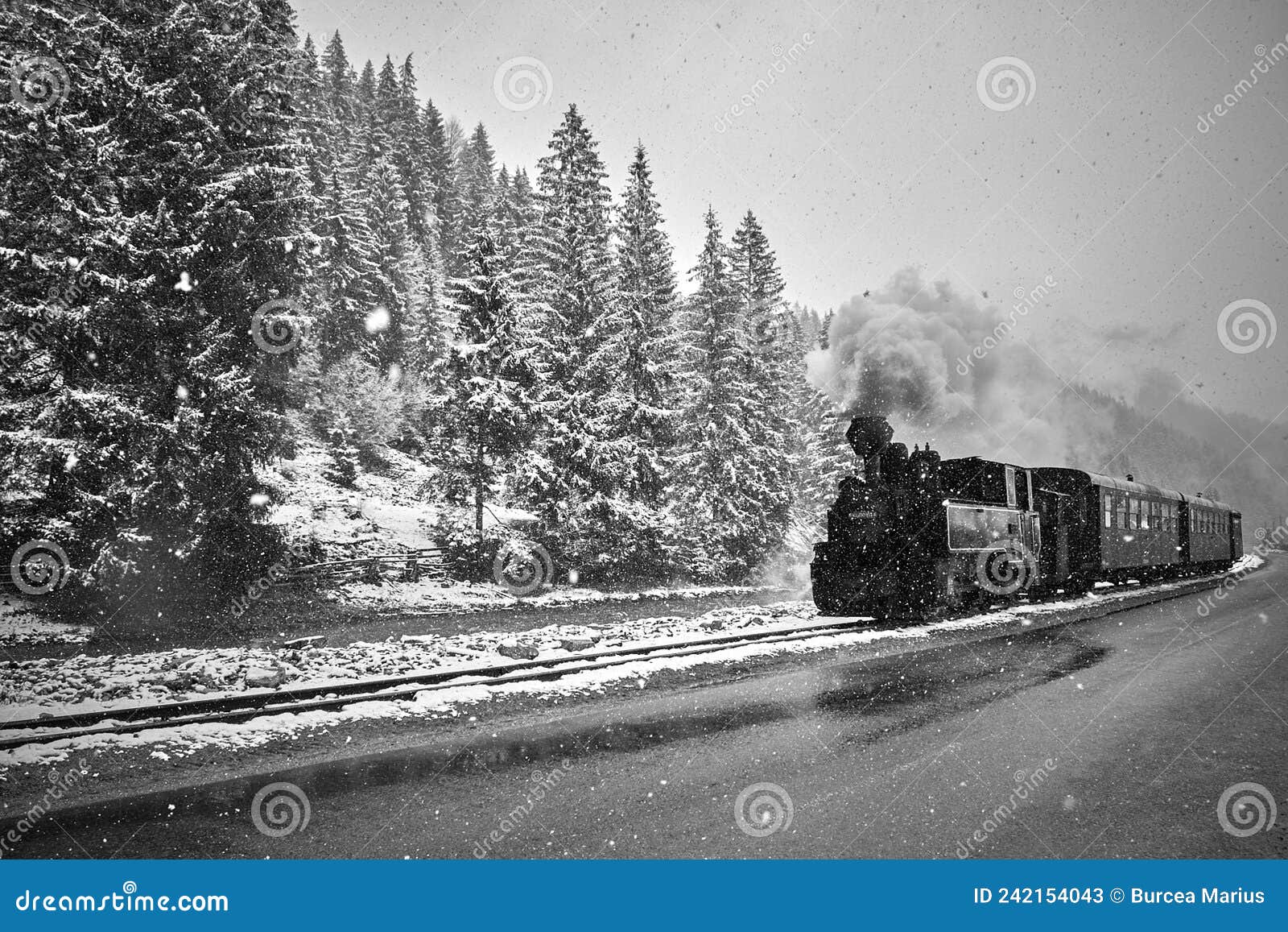 Mocanita Hutulca Winter in Bucovina Stock Image - Image of travel ...