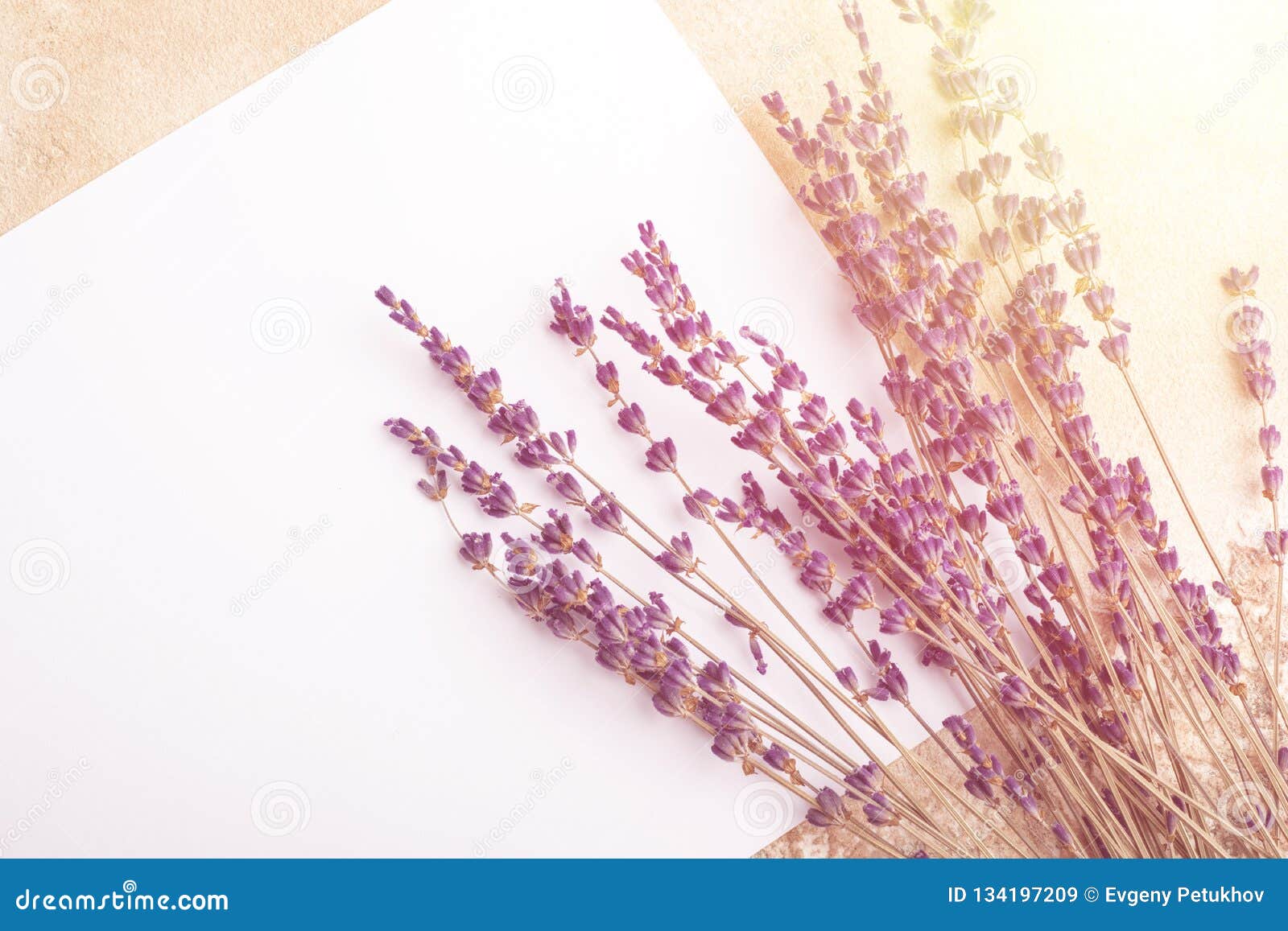 Mock Up of Blank Sheet and Branches of Lavender on the Table. Place for ...