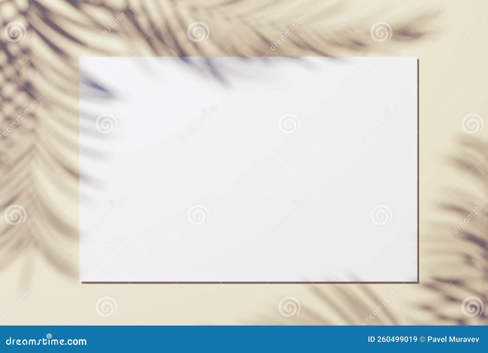 Mock Up Card Paper On Beige Background With Shadows Shape Palm Leaves ...