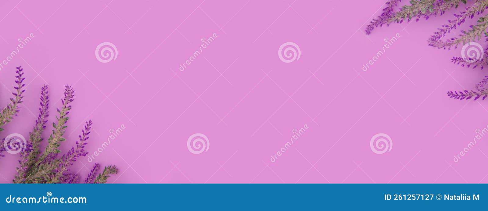Mock-up Lavender Background with Copy Space Stock Image - Image of ...