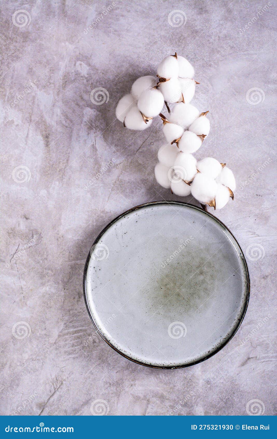 Mockup of Empty Ceramic Plate and Cotton Branch on Gray Background Top ...