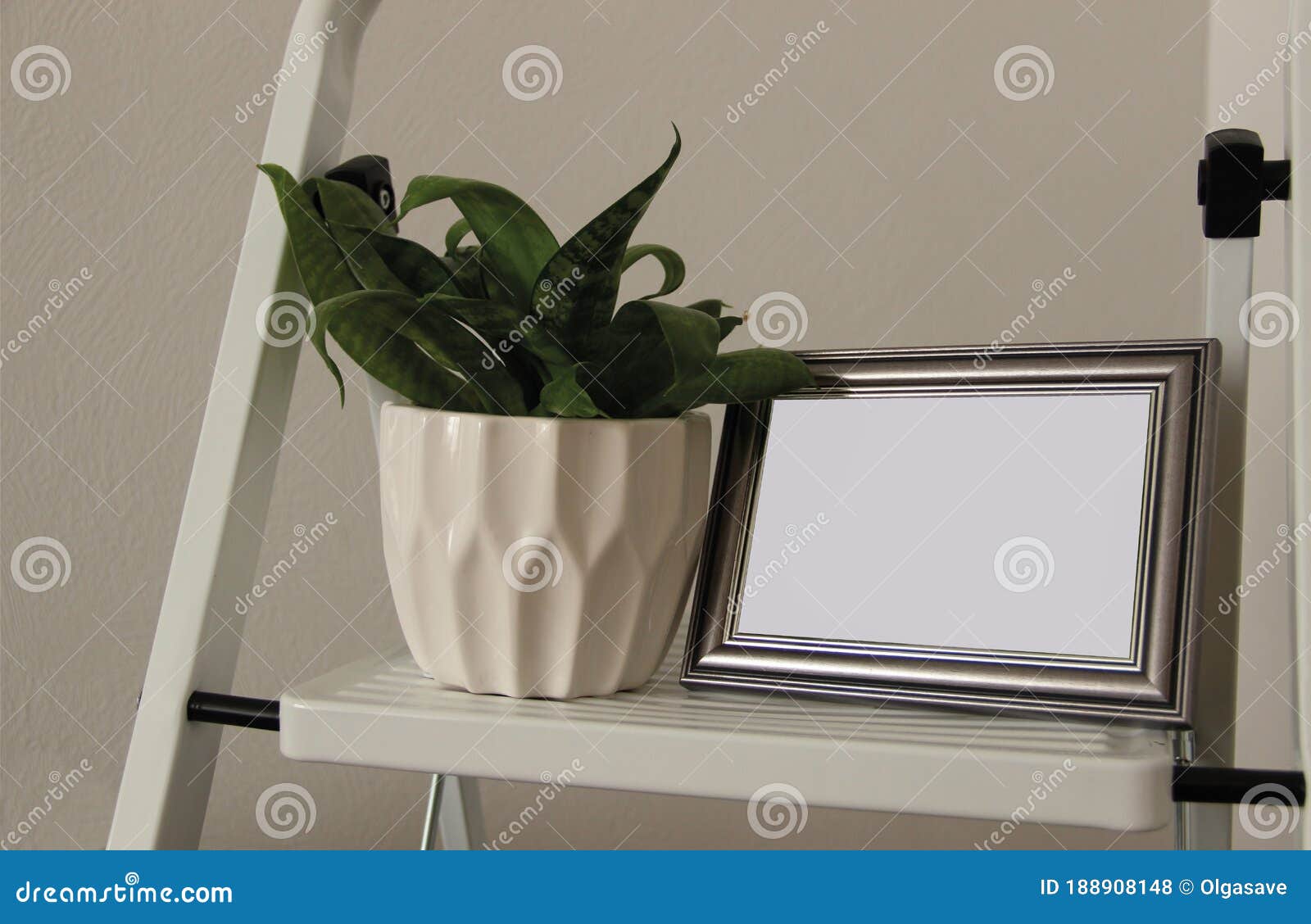The Mockup of the Metallic Photo Frame and Flower Pot Stand on the ...