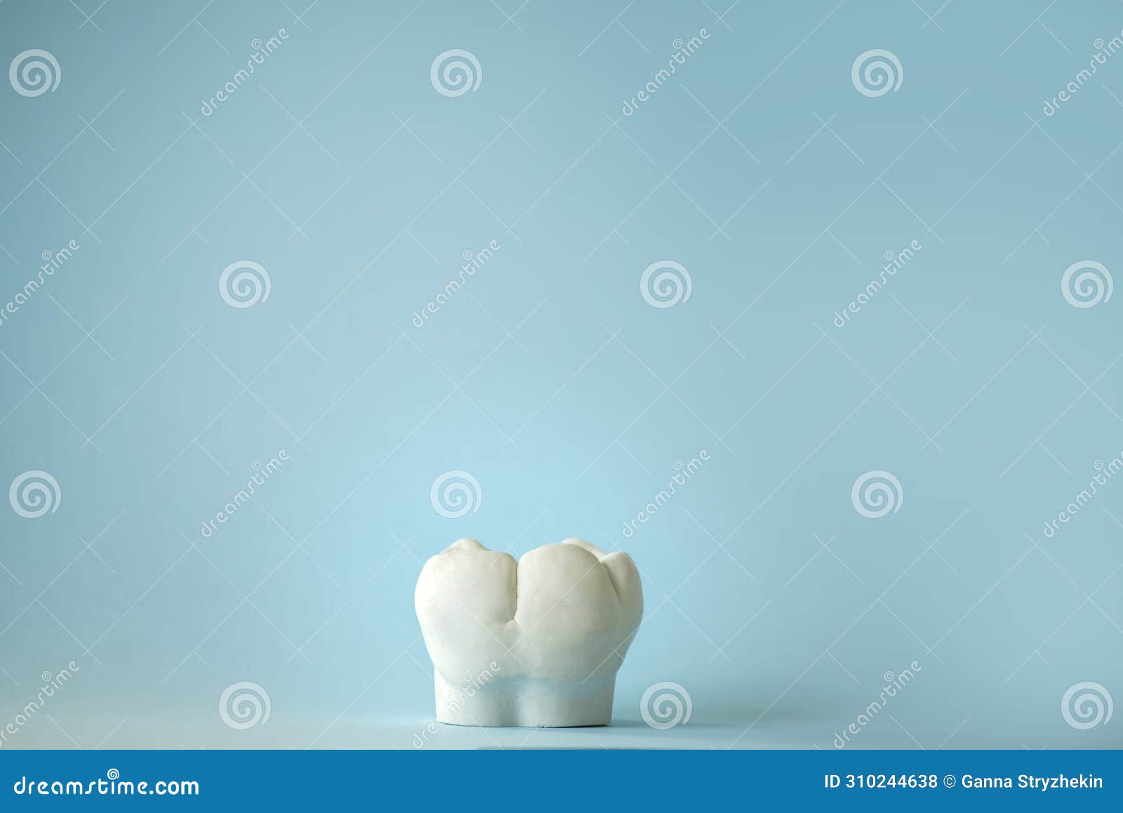 Mockup of a Molar Chewing Tooth Stock Photo - Image of medicine, blue ...