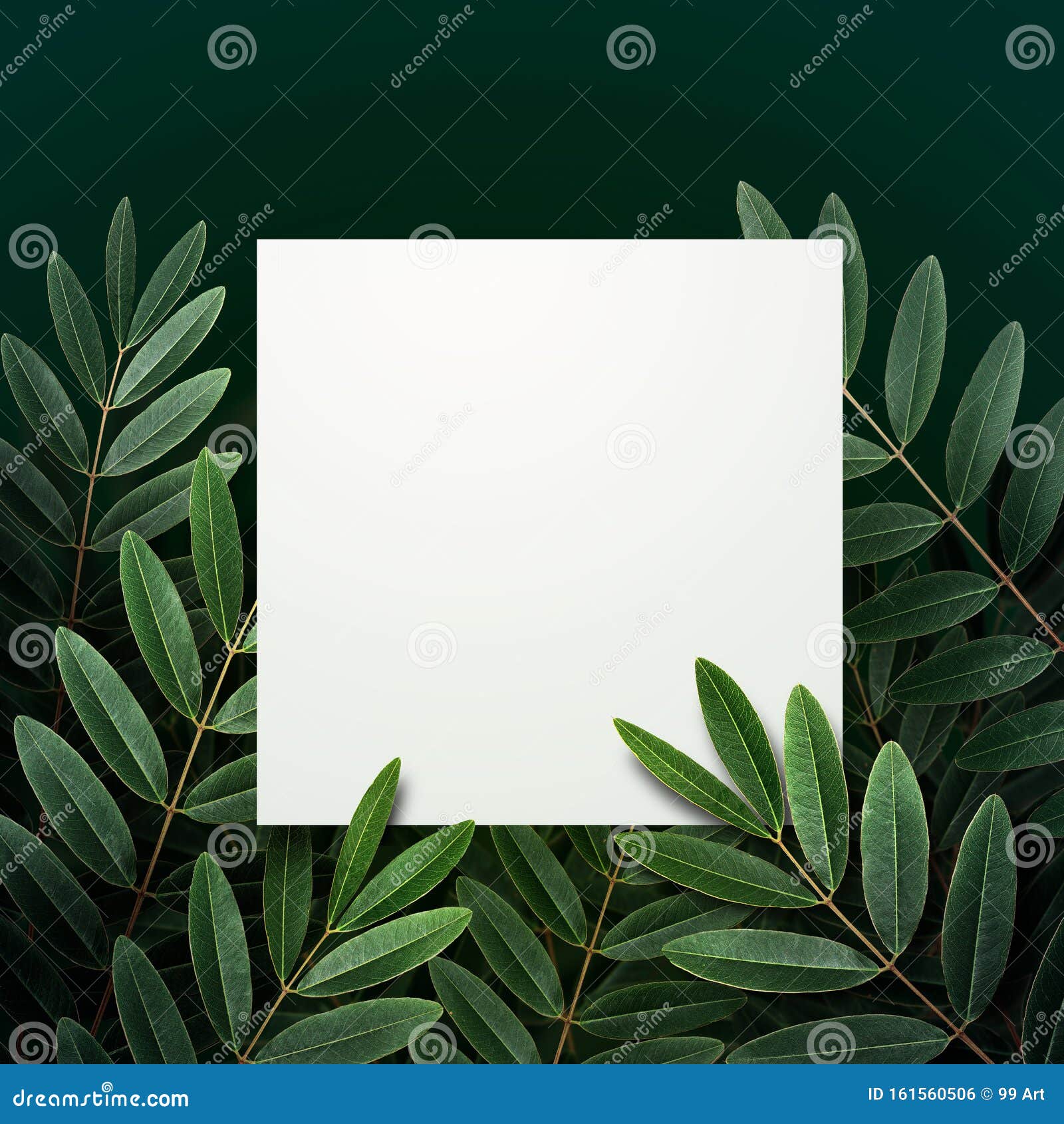 Mockup White Paper with Green Leaves Background Stock Photo - Image of ... Mockup White Paper with Green Leaves Background Stock Photo - Image of ...