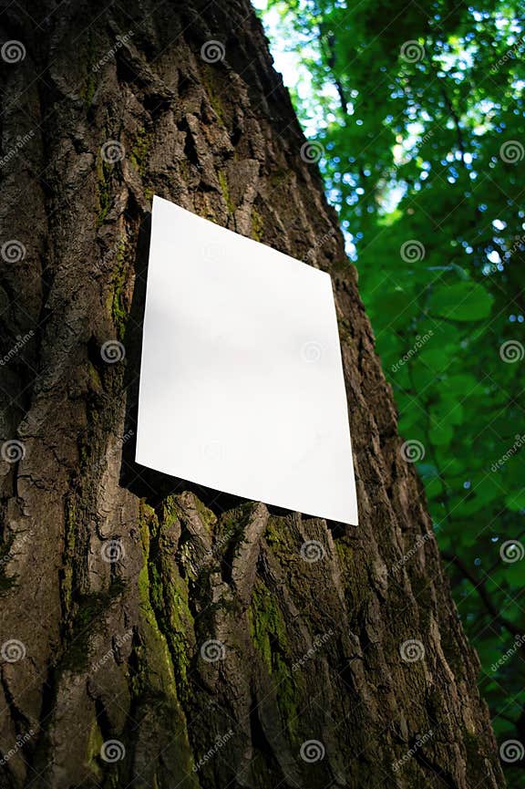 Mockup of White A4 Sheet of Paper on Bark of Tree Trunk on Forest ...