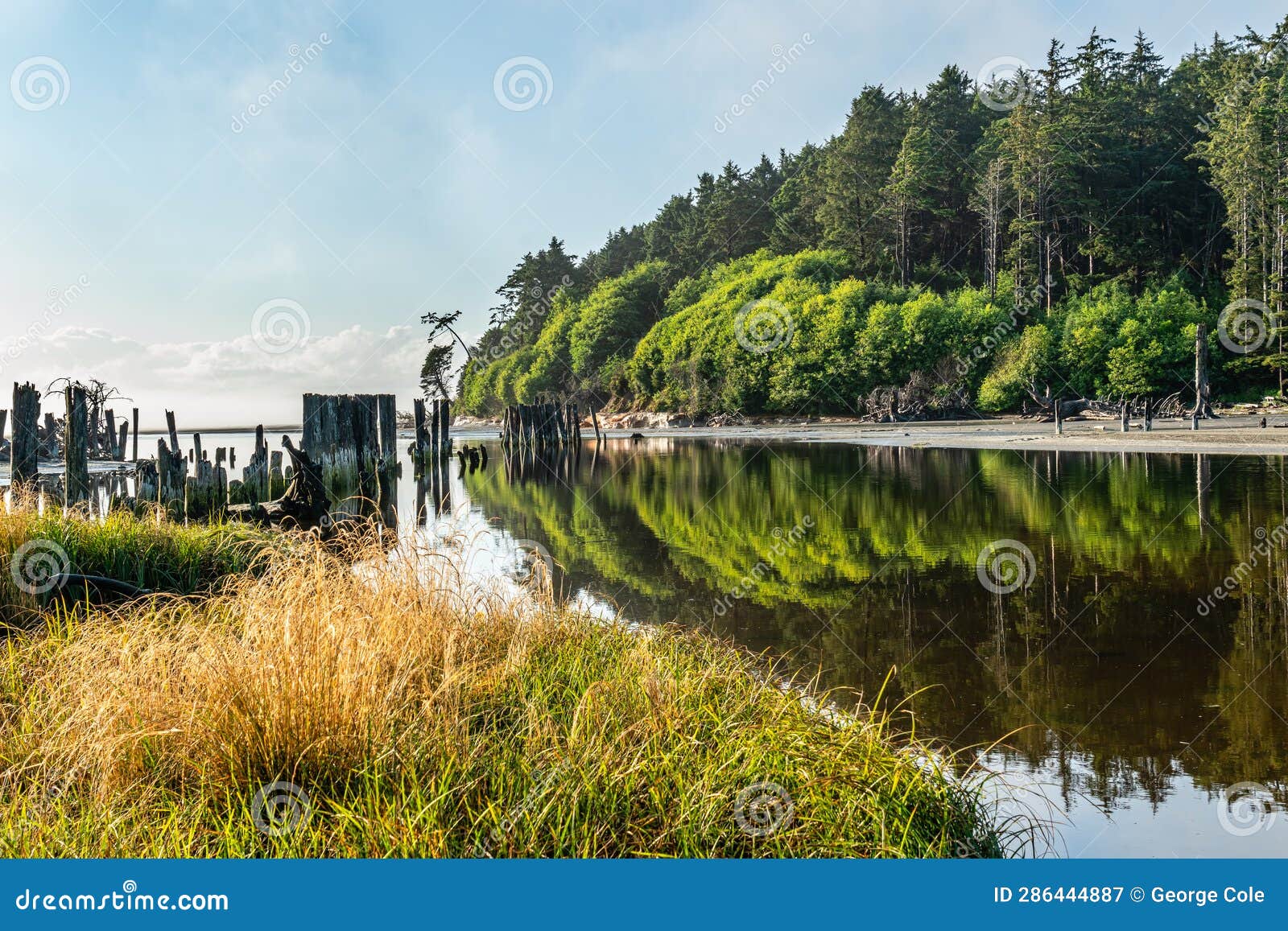 Moclips River Pilings 8 stock image. Image of scenic - 286444887