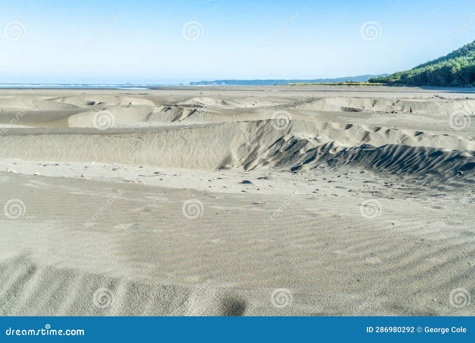 Moclips Sand Dunes 2 stock photo. Image of travel, washington - 286980292