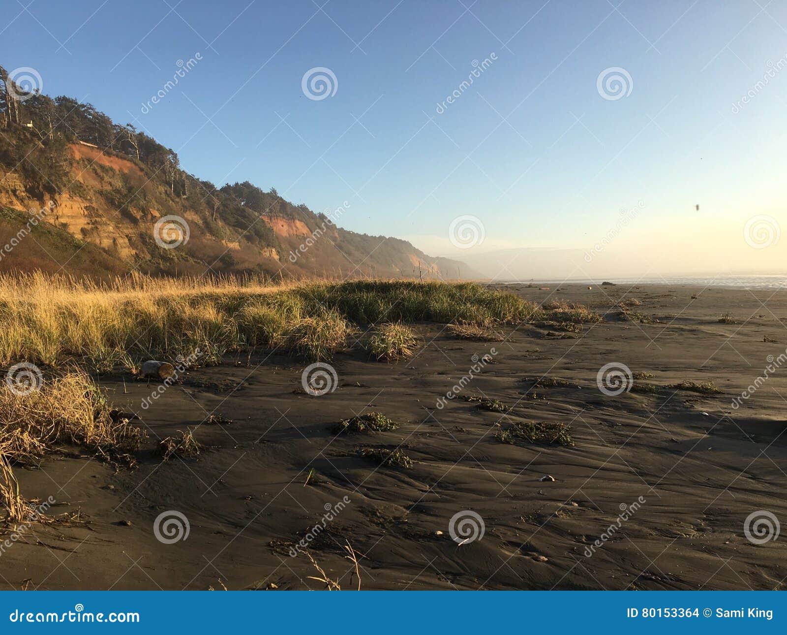 Moclips, Washington stock photo. Image of sunlight, dune - 80153364