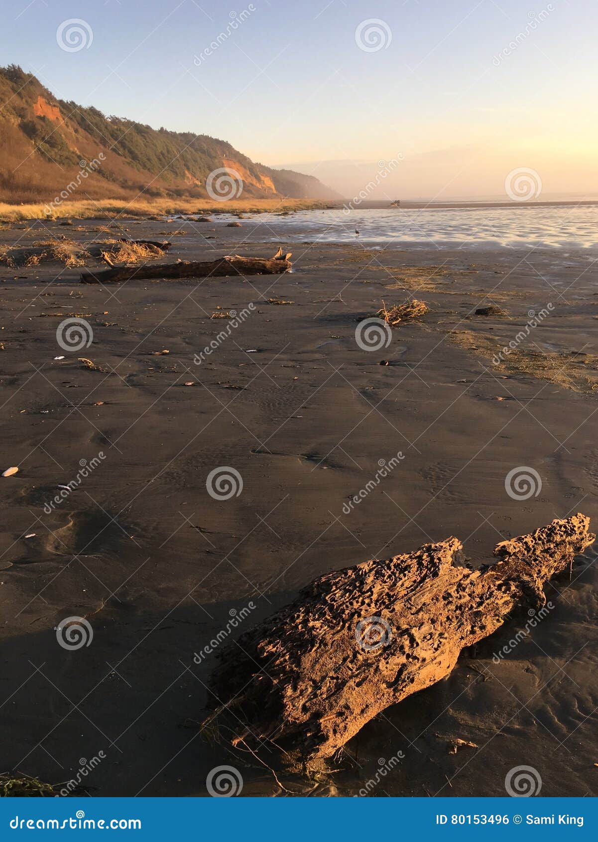 Moclips, Washington stock photo. Image of water, landscape - 80153496