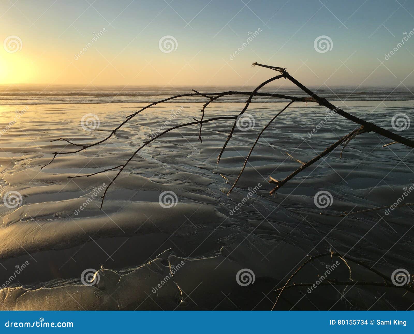 Moclips, Washington stock photo. Image of sand, sunset - 80155734