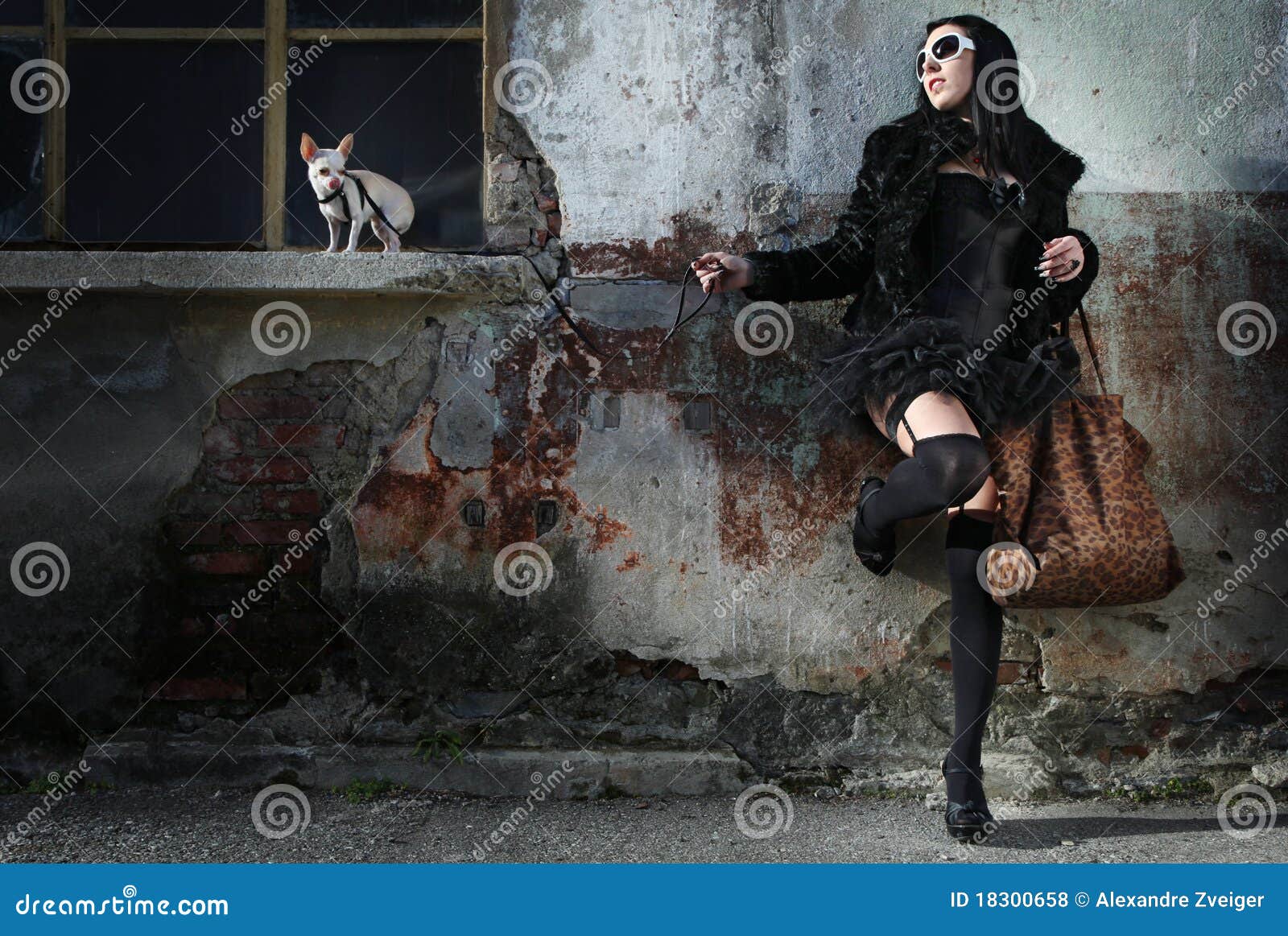 Mode punke moderne photo stock. Image du pose, vêtements - 18300658