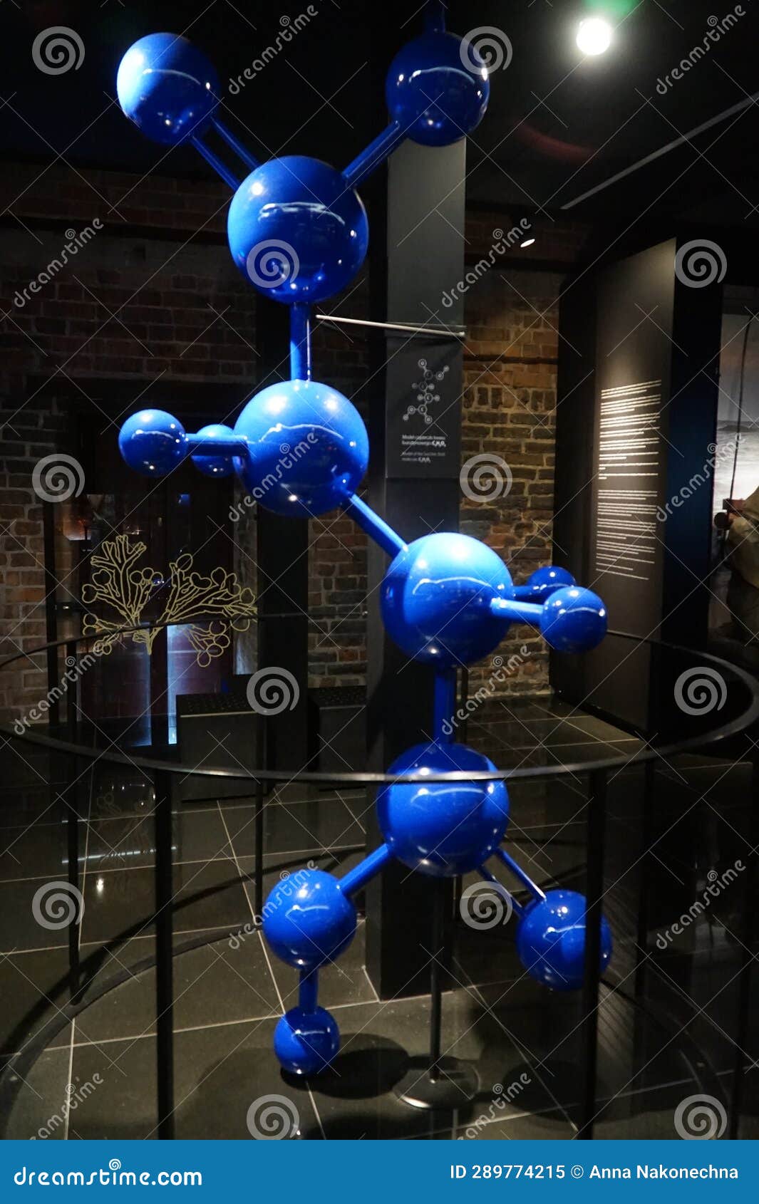 Model of the Amber Formula in the Amber Museum in Gdansk Editorial ...