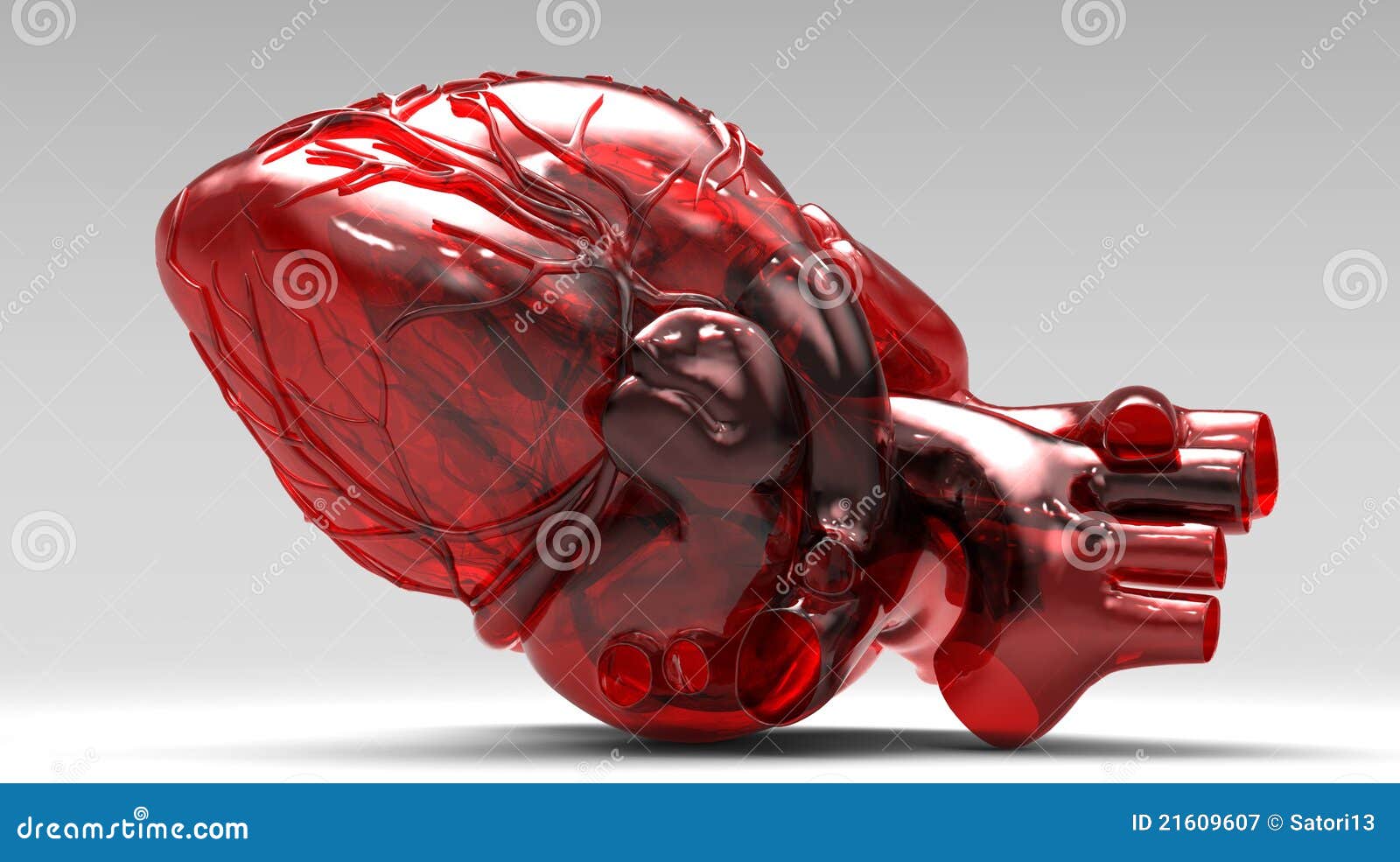 Model of Artificial Human Heart Stock Illustration - Illustration of ...