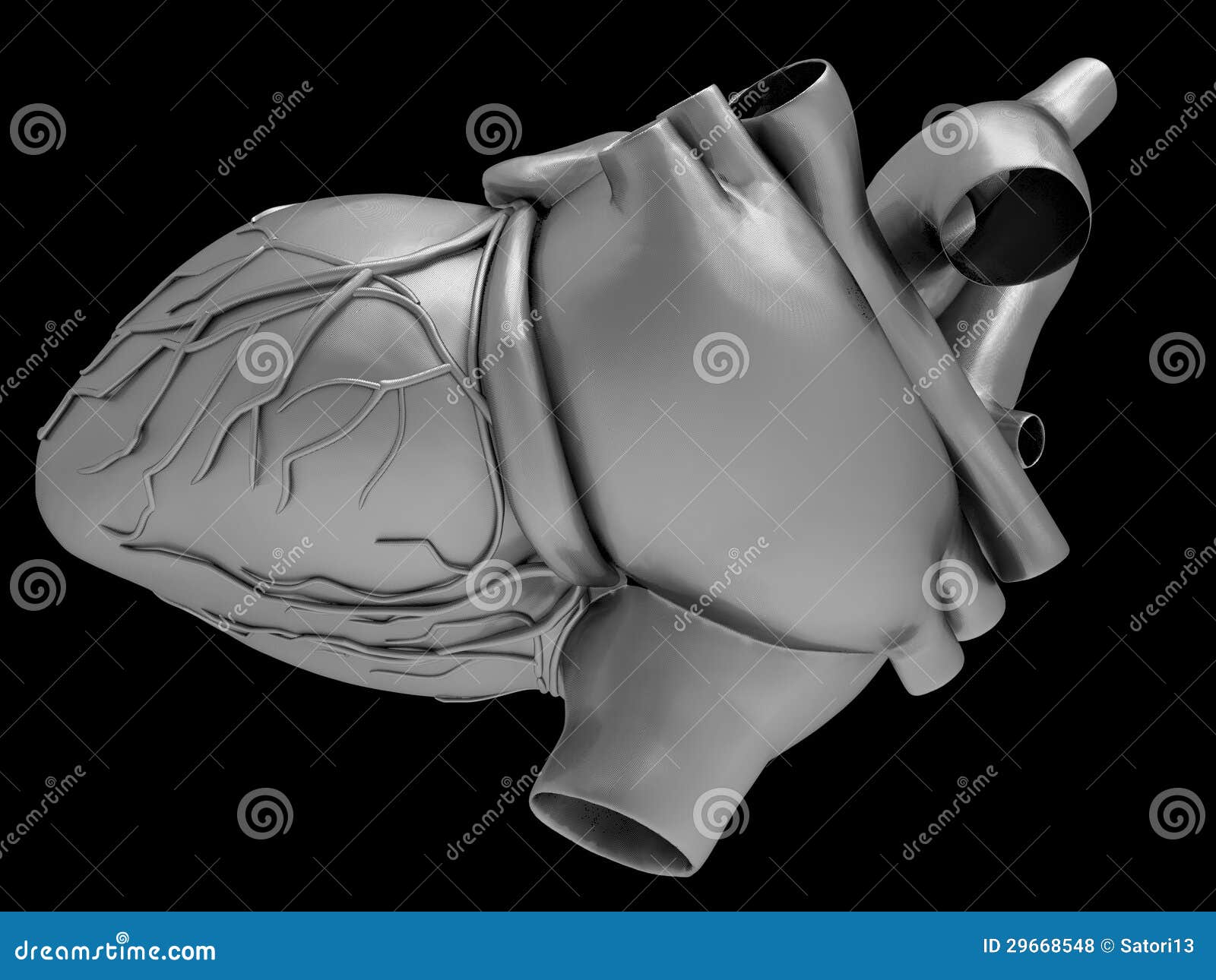 Model of Artificial Human Heart Stock Illustration - Illustration of ...