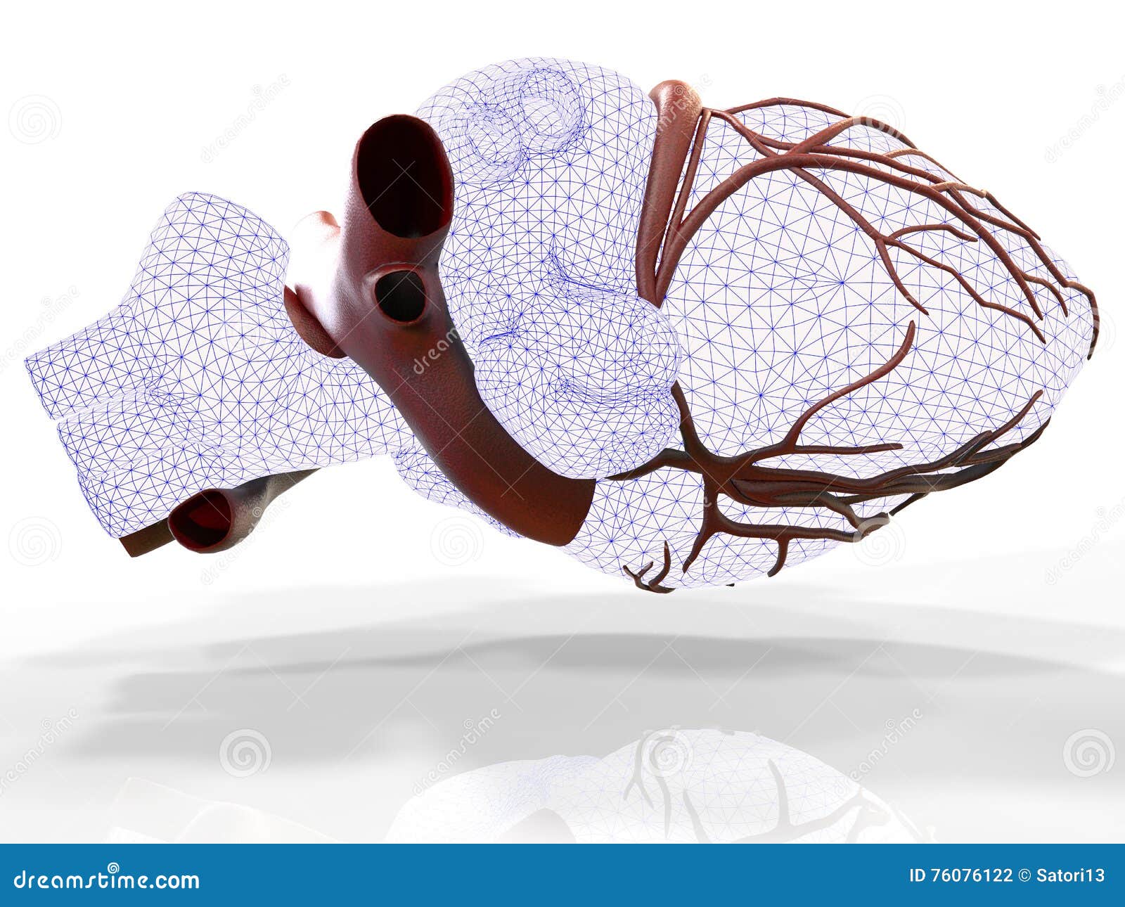 Model of Artificial Human Heart 3d Rendering Stock Illustration ...