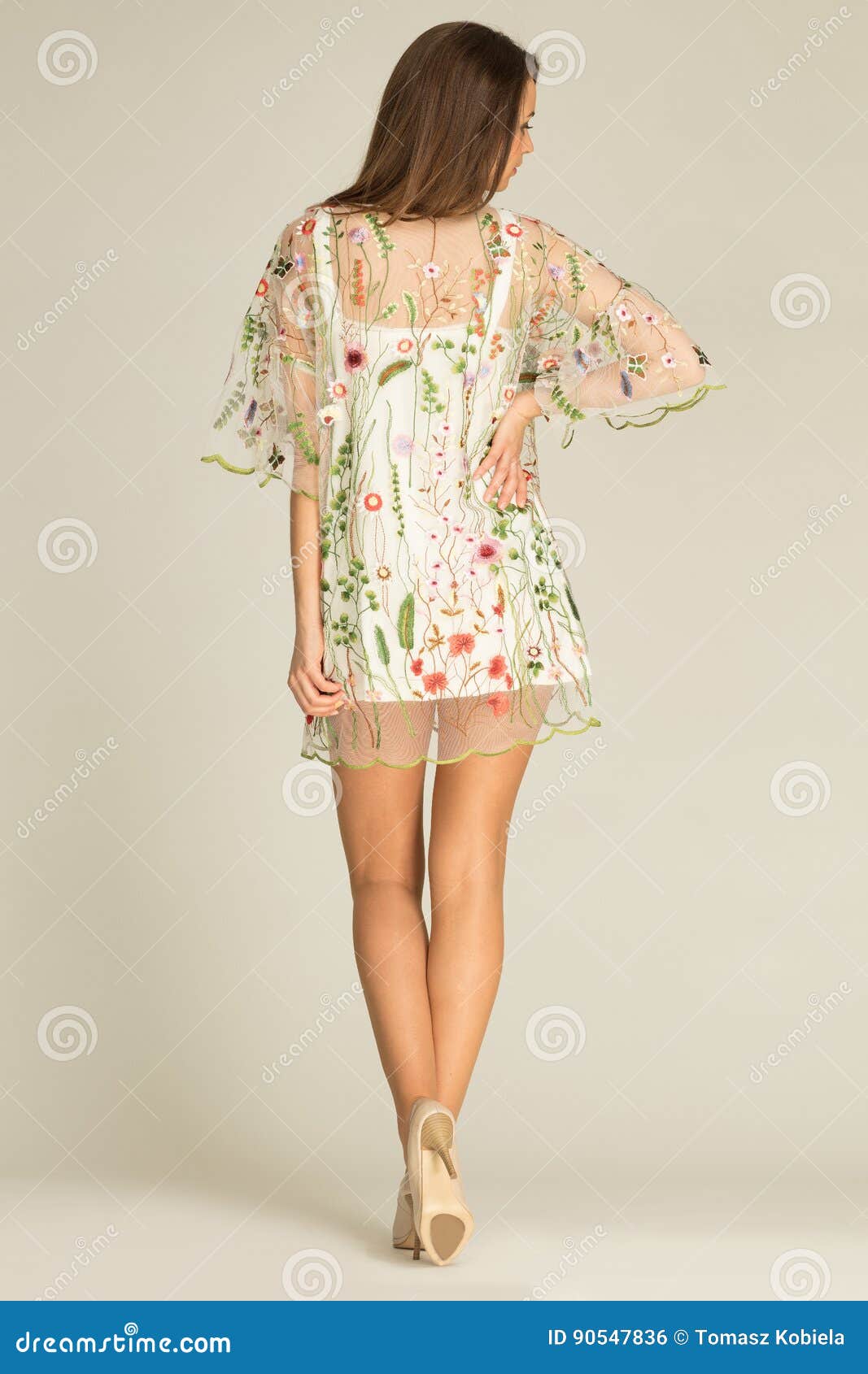 Model with Beautiful Body Wearing Dress on the Back Side. Stock Photo ...