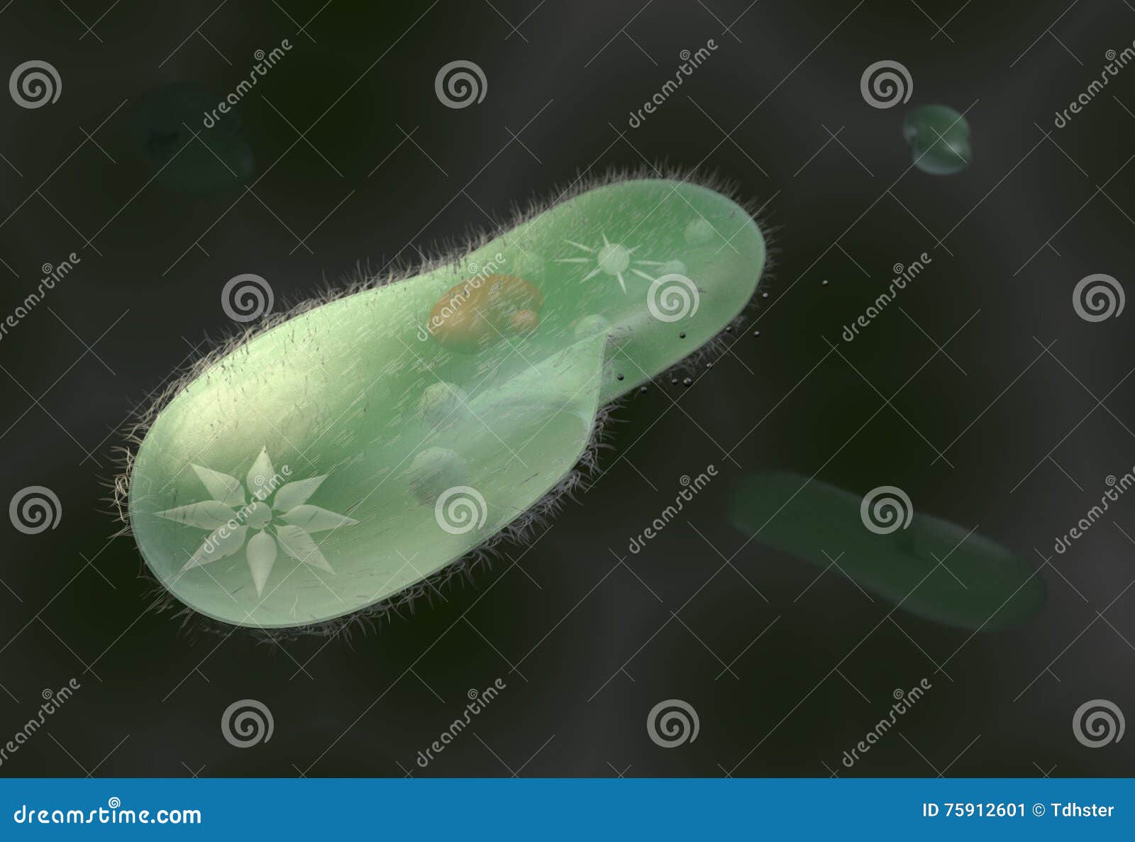 Model Biological Micro Organism Paramecium Caudatum 3d Illustration ...