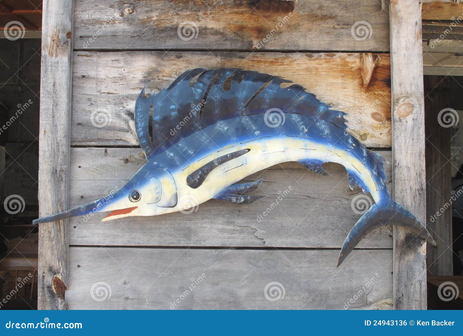 Model of a Blue Marlin Fish on Wall Stock Photo - Image of model, view ...