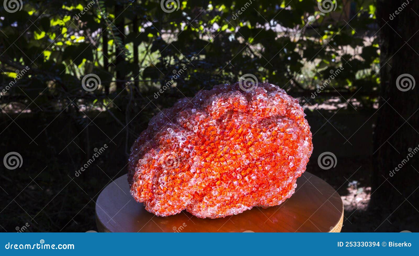 Model of the Brain Covered with Crystals Stock Photo - Image of ...