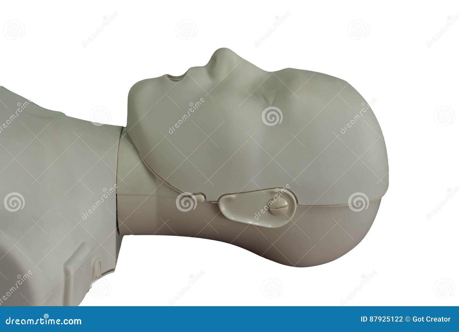 Model CPR Isolate White Background, Model for CPR Training Medical ...