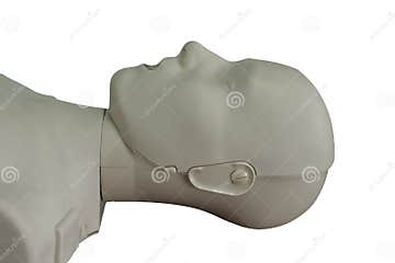 Model CPR Isolate White Background, Model for CPR Training Medical ...