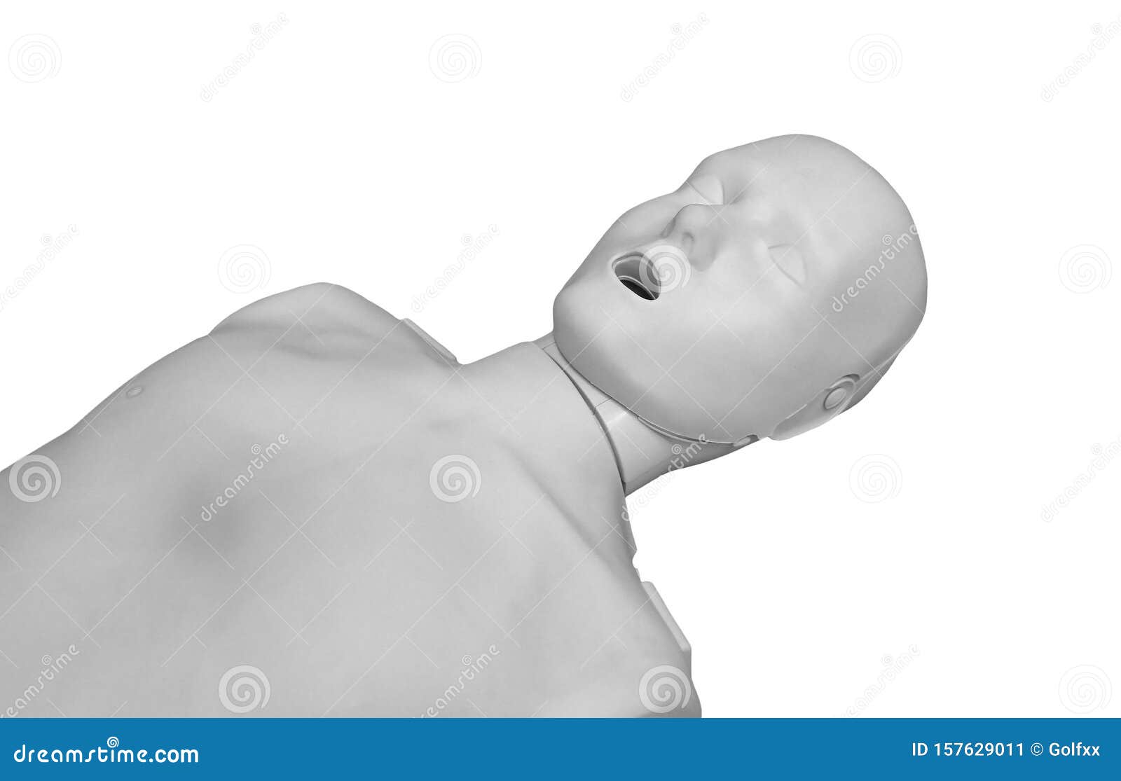 Model of CPR Training Medical Procedure Isolated on White Stock Image ...