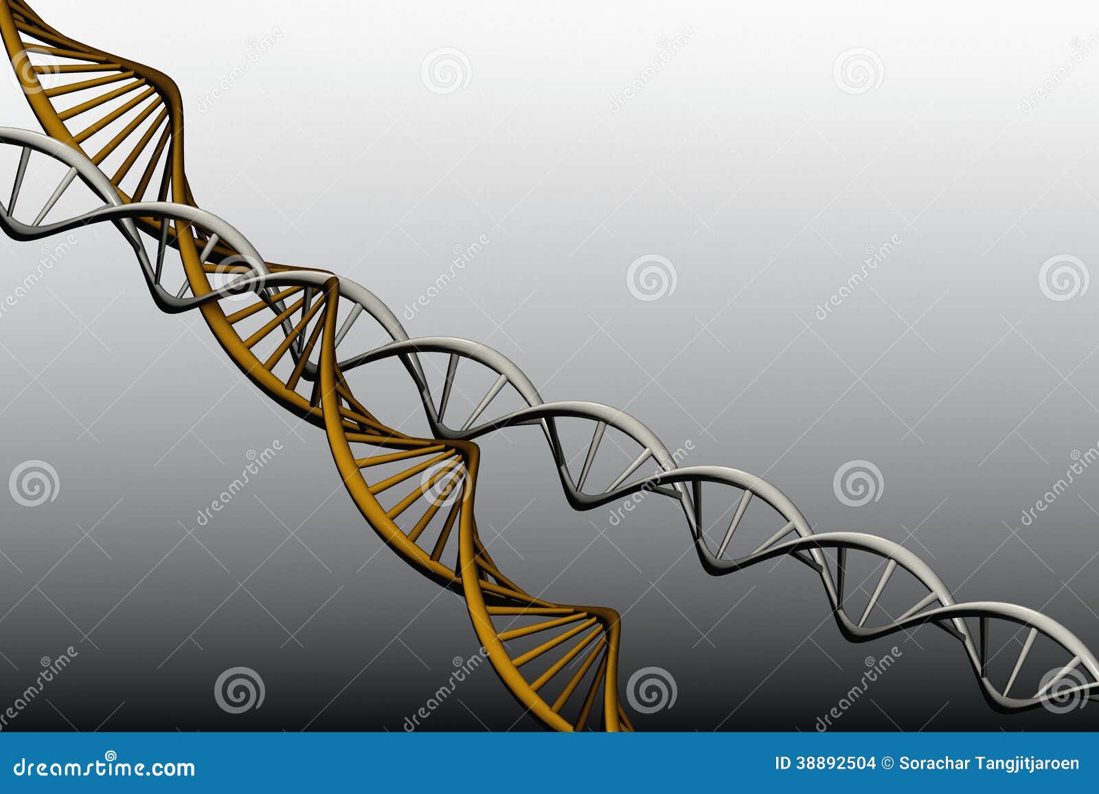 Model 3 D of twisted DNA. stock illustration. Illustration of ...