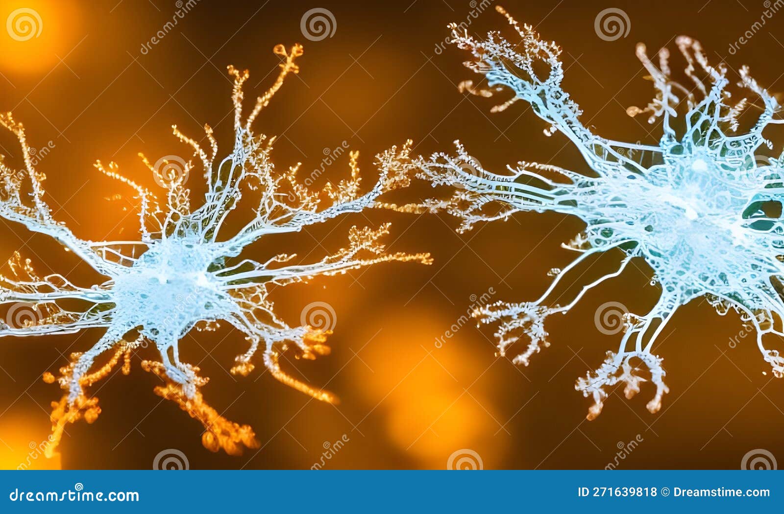 Dendritic Cells Vector Illustration. Anatomical Labeled Closeup Scheme ...